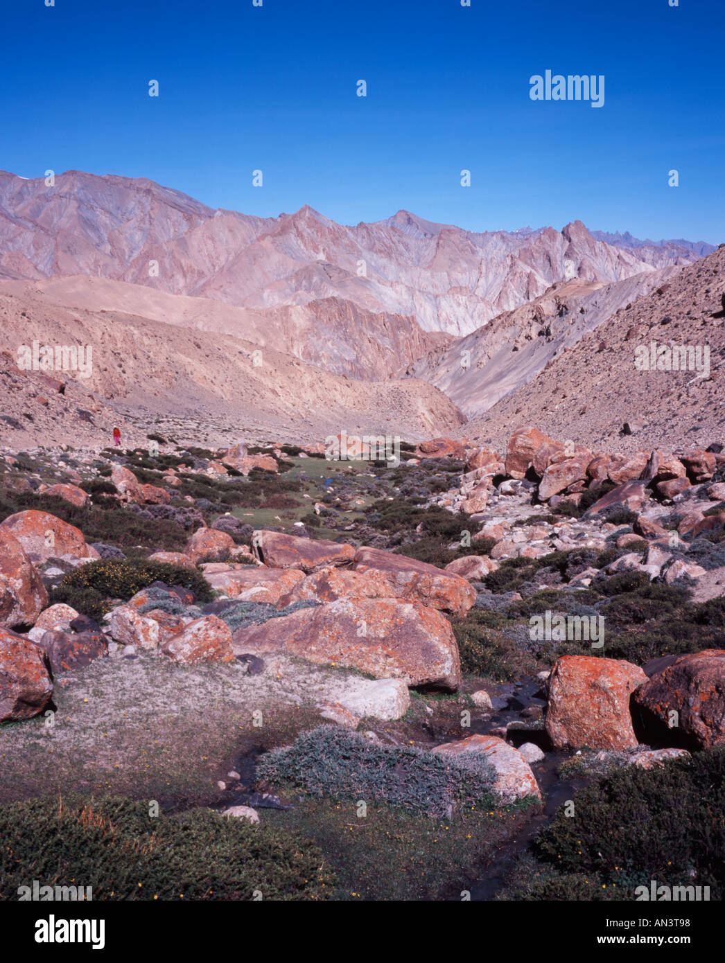 Markha Valley Trek Ladakh India Stock Photo - Alamy