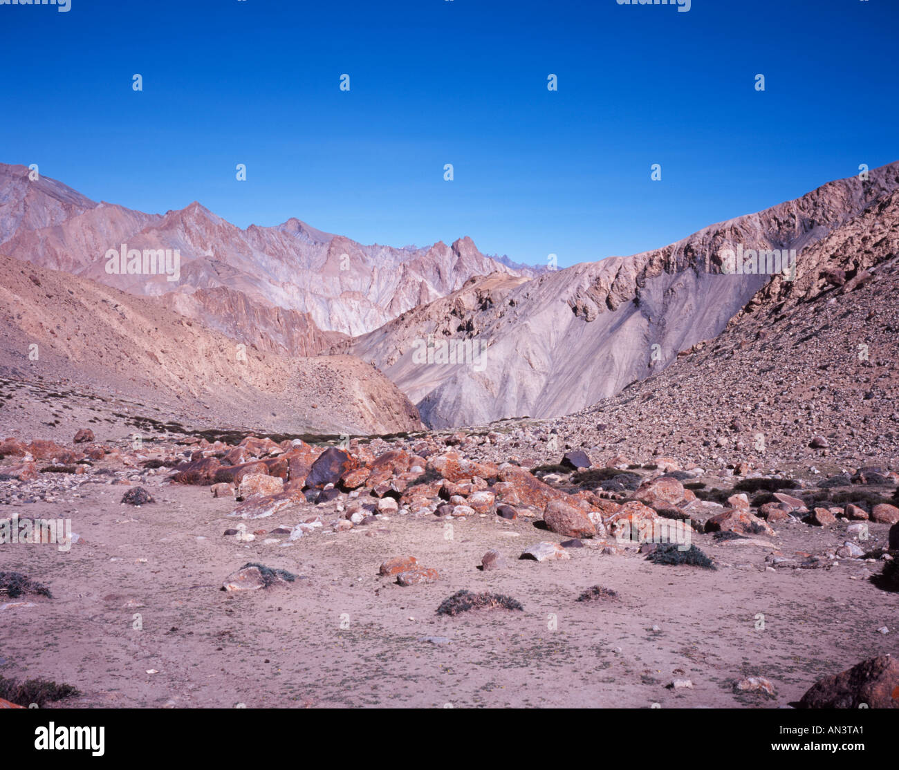 Markha Valley Trek Ladakh India Stock Photo - Alamy