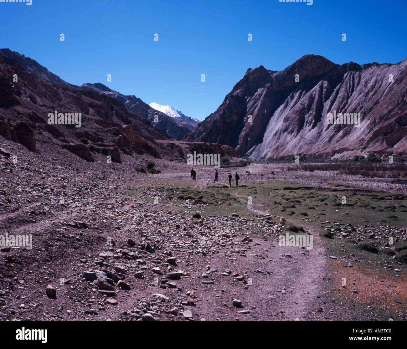 Markha Valley Trek Ladakh India Stock Photo - Alamy