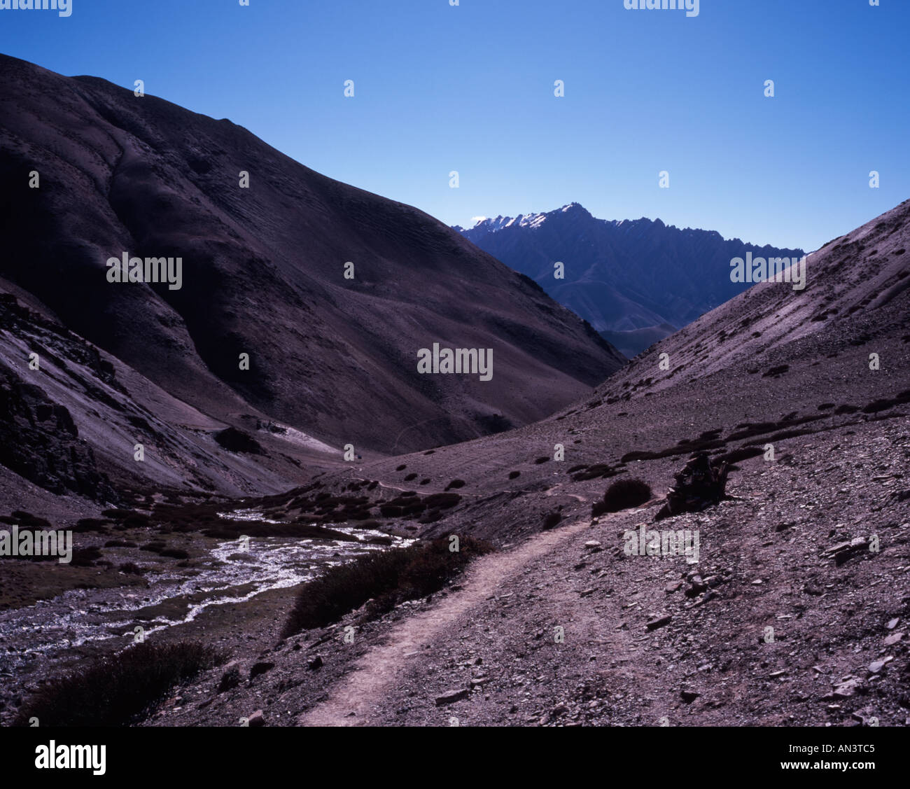 Markha Valley Trek Ladakh India Stock Photo - Alamy