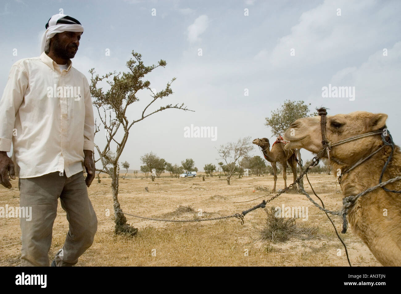 Racing camel and person hi-res stock photography and images - Alamy