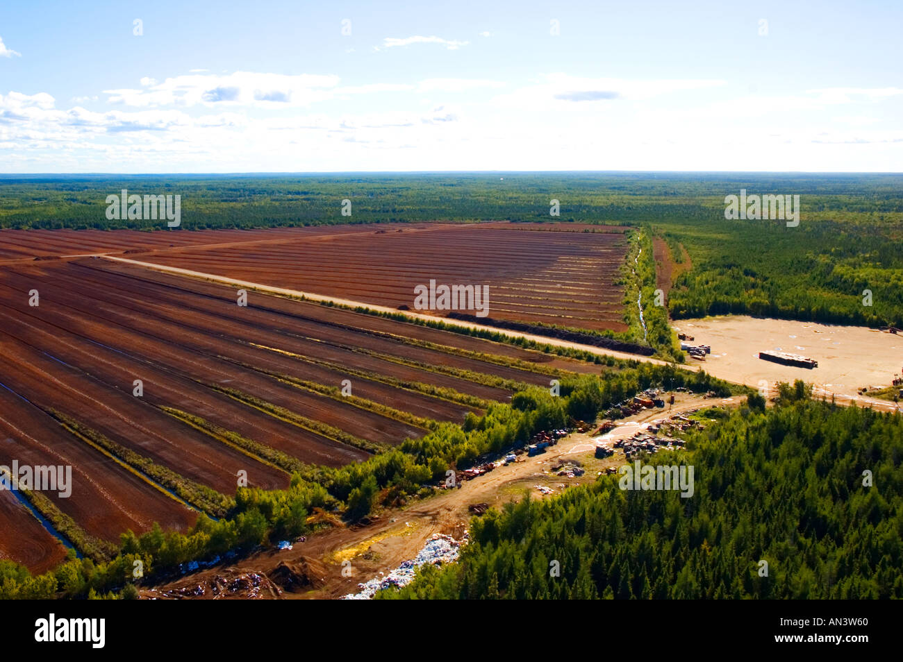 Peat bog new brunswick hi-res stock photography and images - Alamy