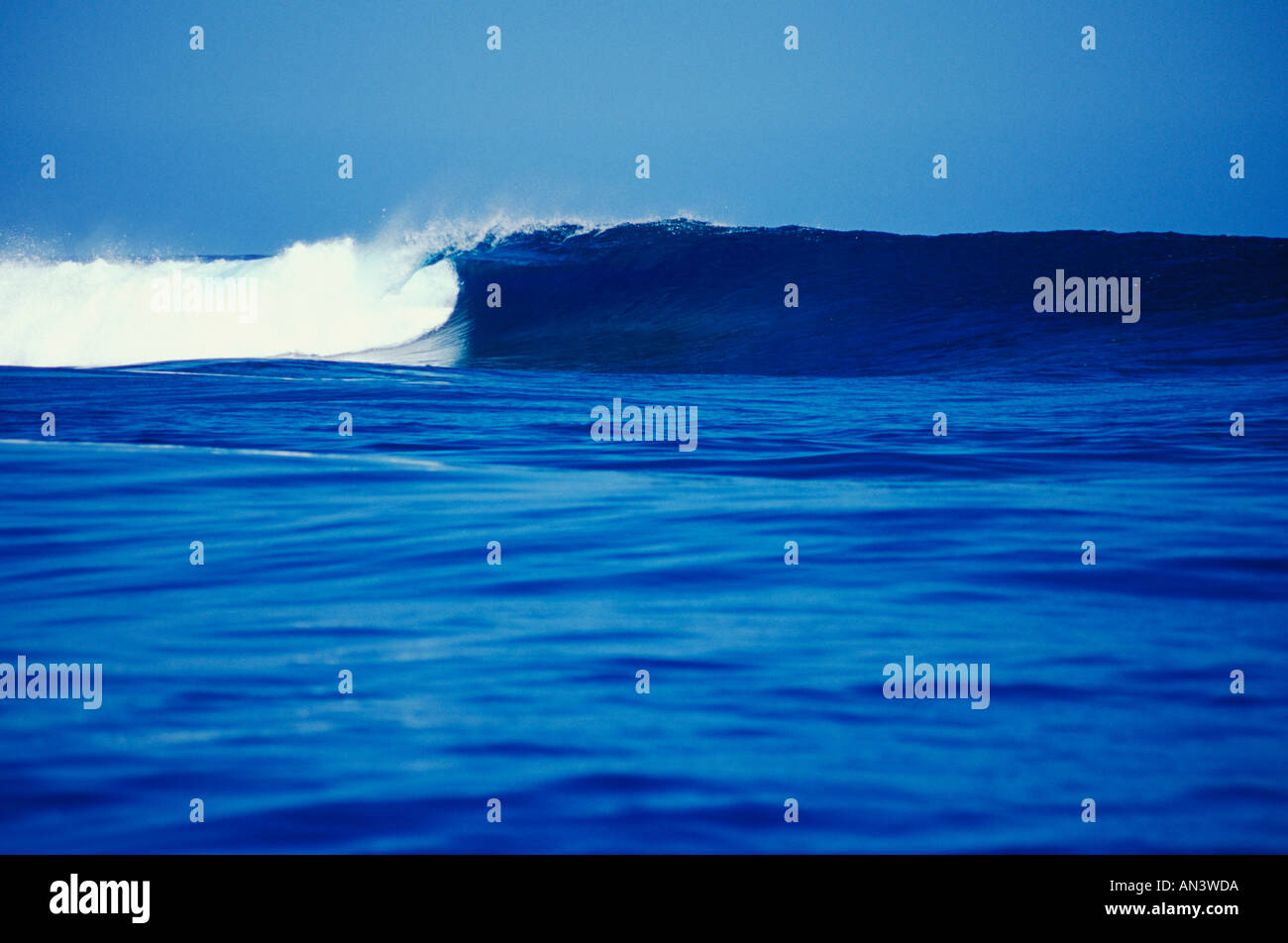 Teahupoo wave hi-res stock photography and images - Alamy