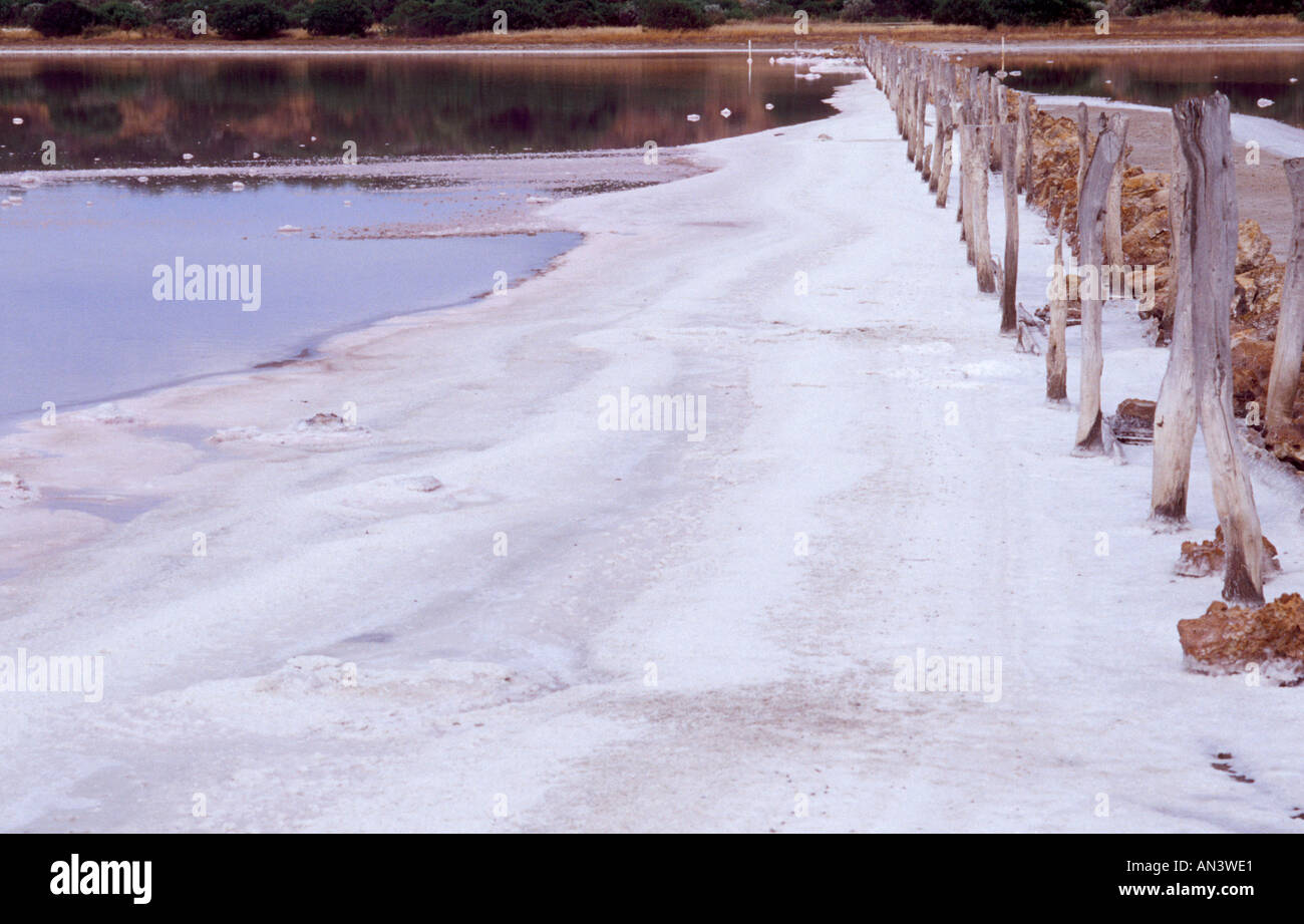 Salt crystals encrusting the shore of a pink salt lake in Coorong ...