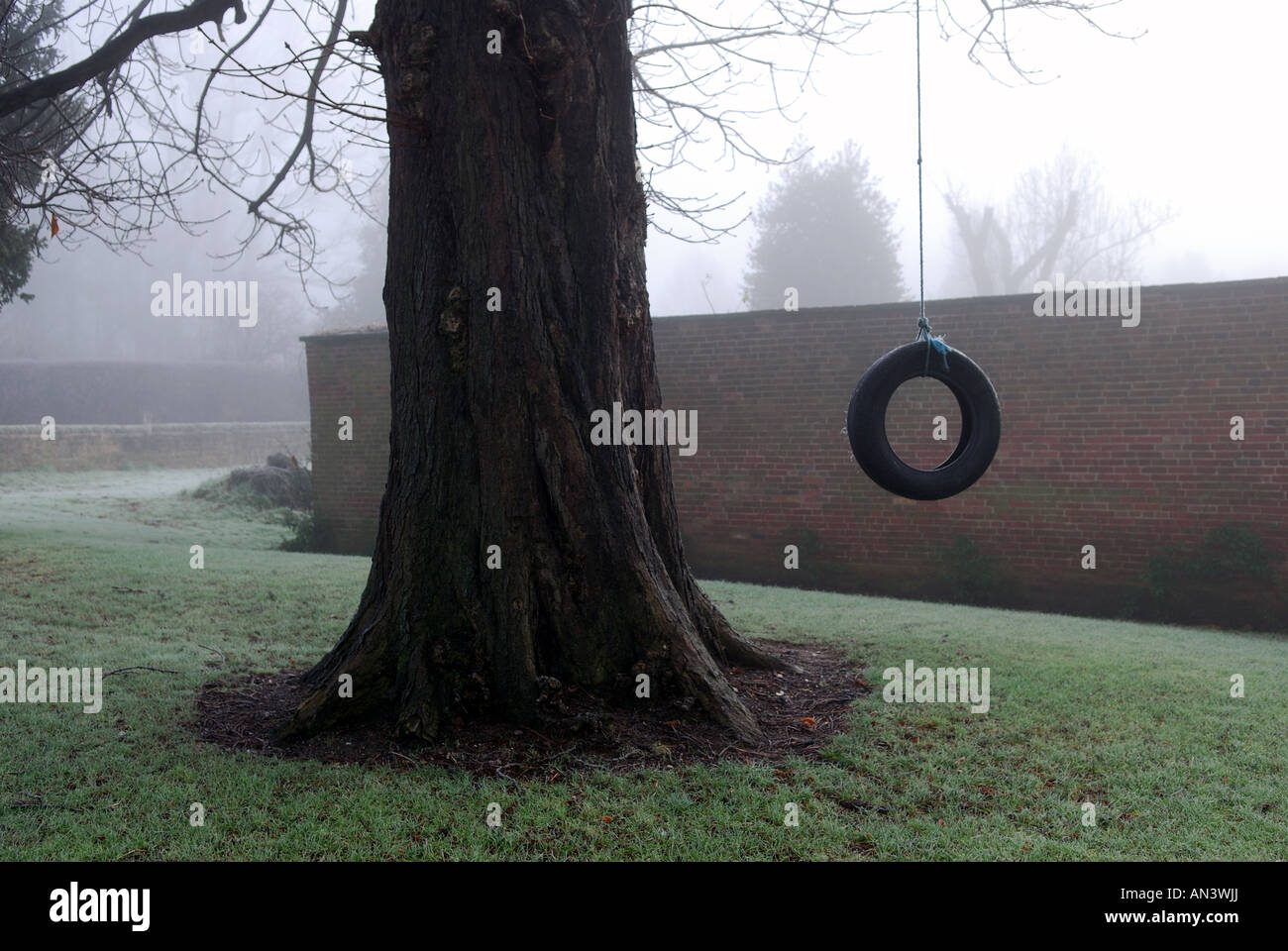 Rubber tyre rope swing Stock Photo - Alamy