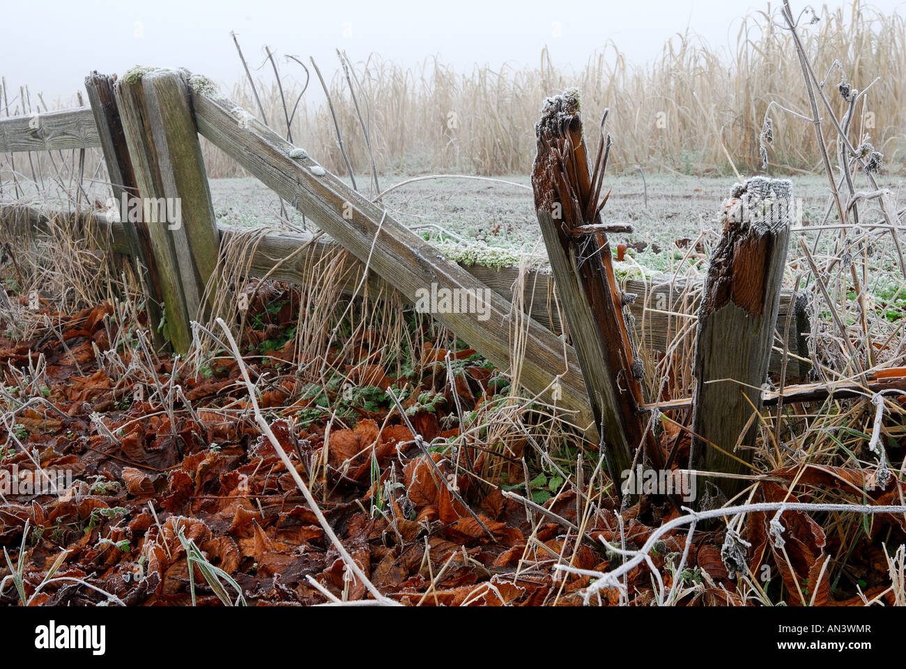 Landscape broken fence in winter Stock Photo - Alamy