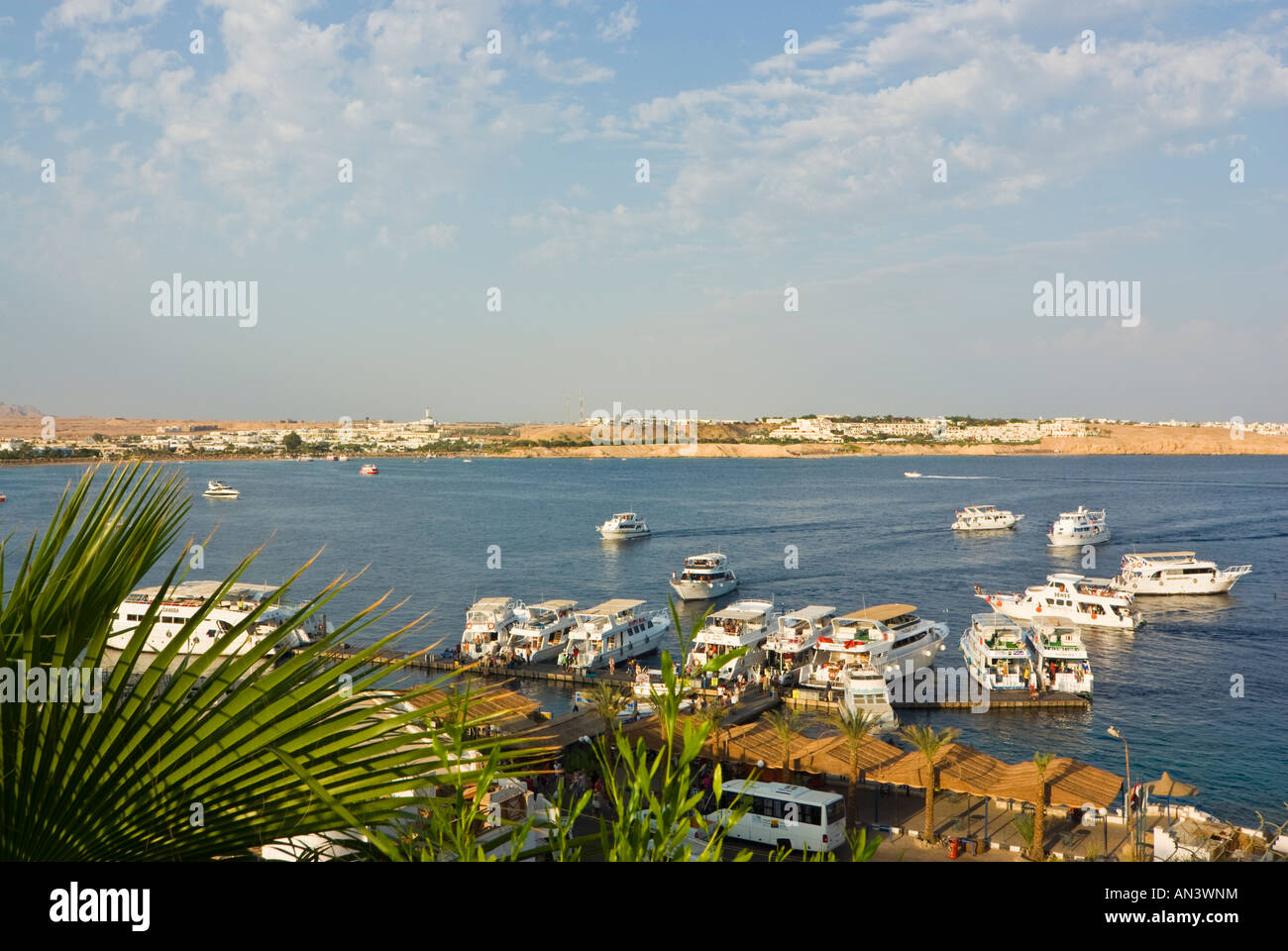 Naama Bay, Sharm el Sheikh, Egypt Stock Photo - Alamy