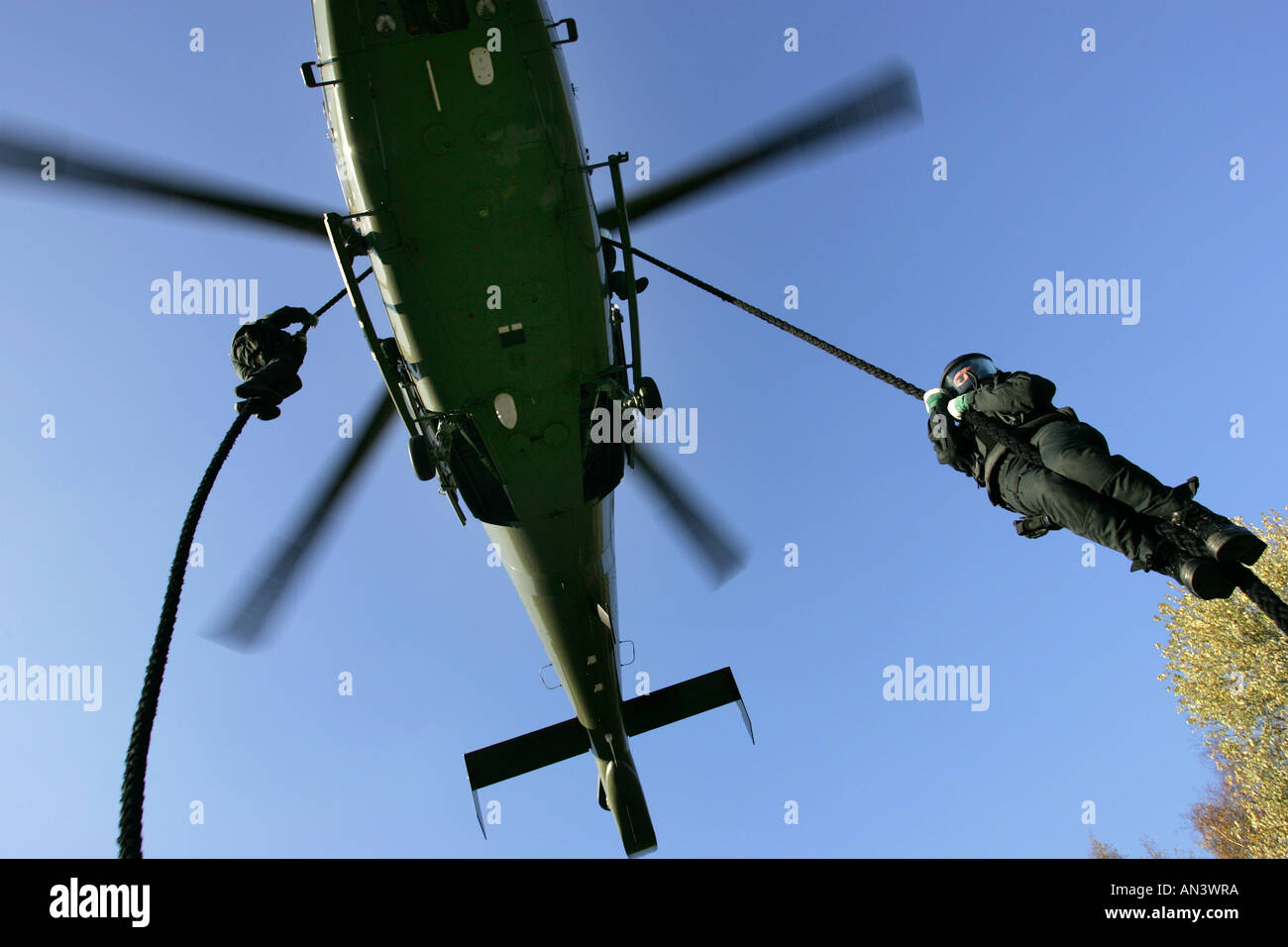 O SWAT team of German Police special forces at a abseiling exercise ...