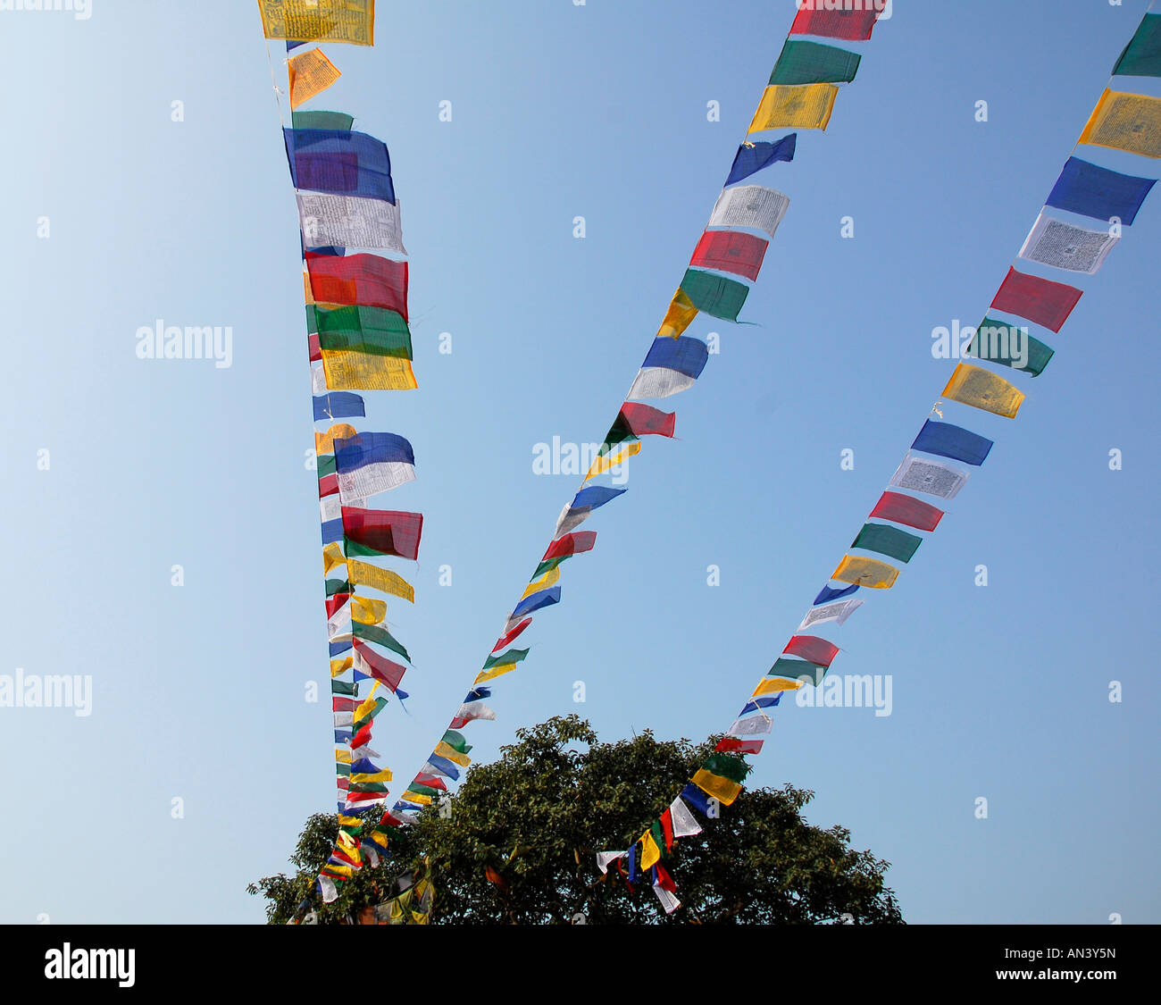 Prayer flags at Vulture Peak, Rajgir. India Stock Photo - Alamy