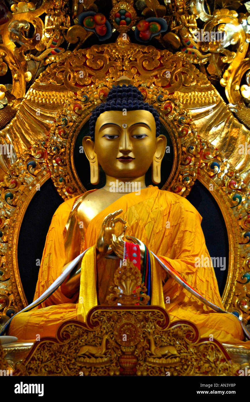 Buddha statue at the Vajra Vidya Institute, Sarnath, India Stock Photo ...
