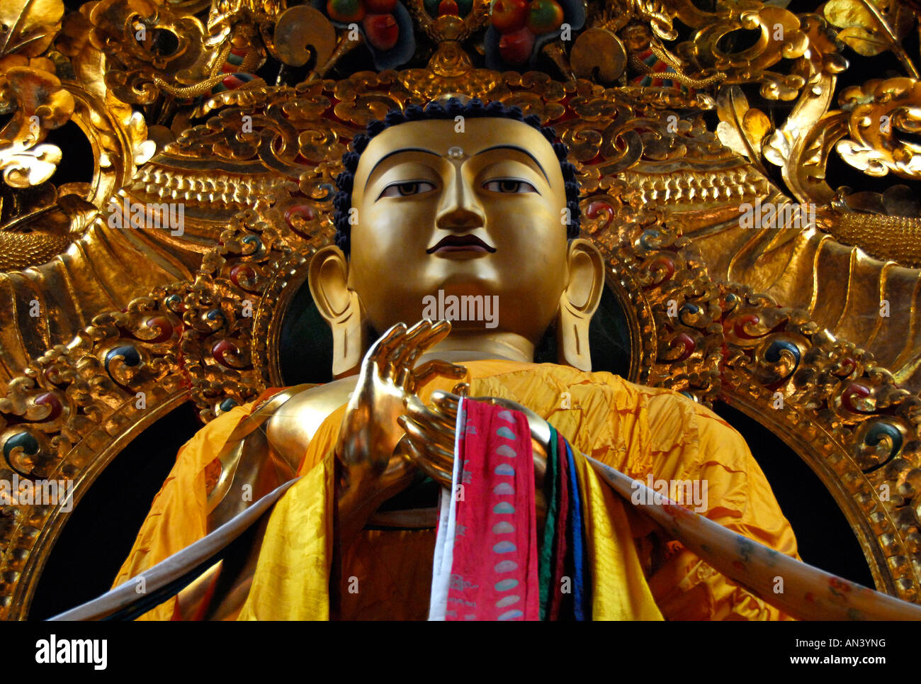 Buddha statue at the Vajra Vidya Institute in Sarnath, Uttar Pradesh ...