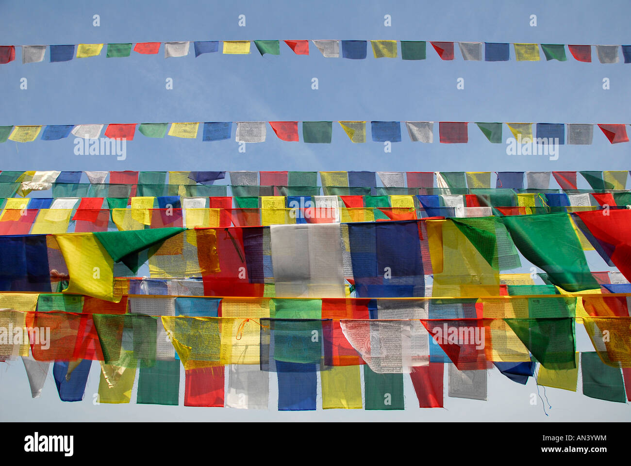 Prayer flags at the birth place of Sakyamuni Buddha, Lumbini, Nepal ...
