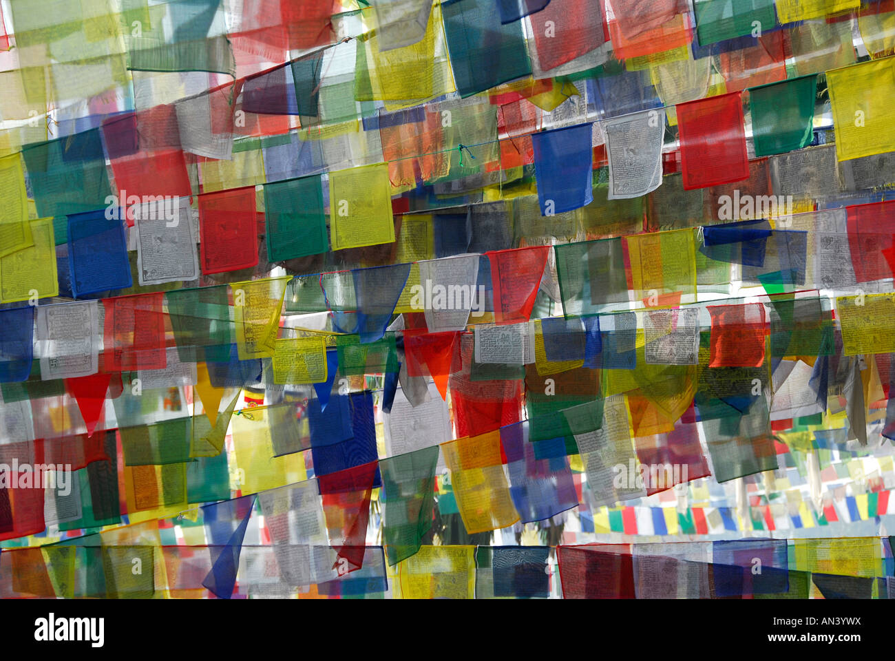 Prayer flags at the birth place of Sakyamuni Buddha, Lumbini, Nepal ...