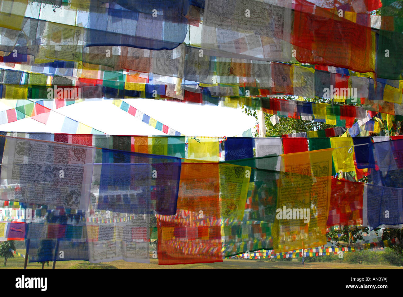 Prayer flags at the birth place of Sakyamuni Buddha, Lumbini, Nepal ...