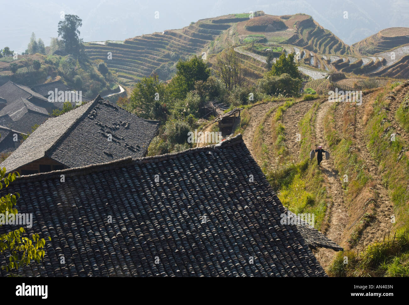 China Guangxi Ping an village Dragon Backbone Rice Terraces elevated ...