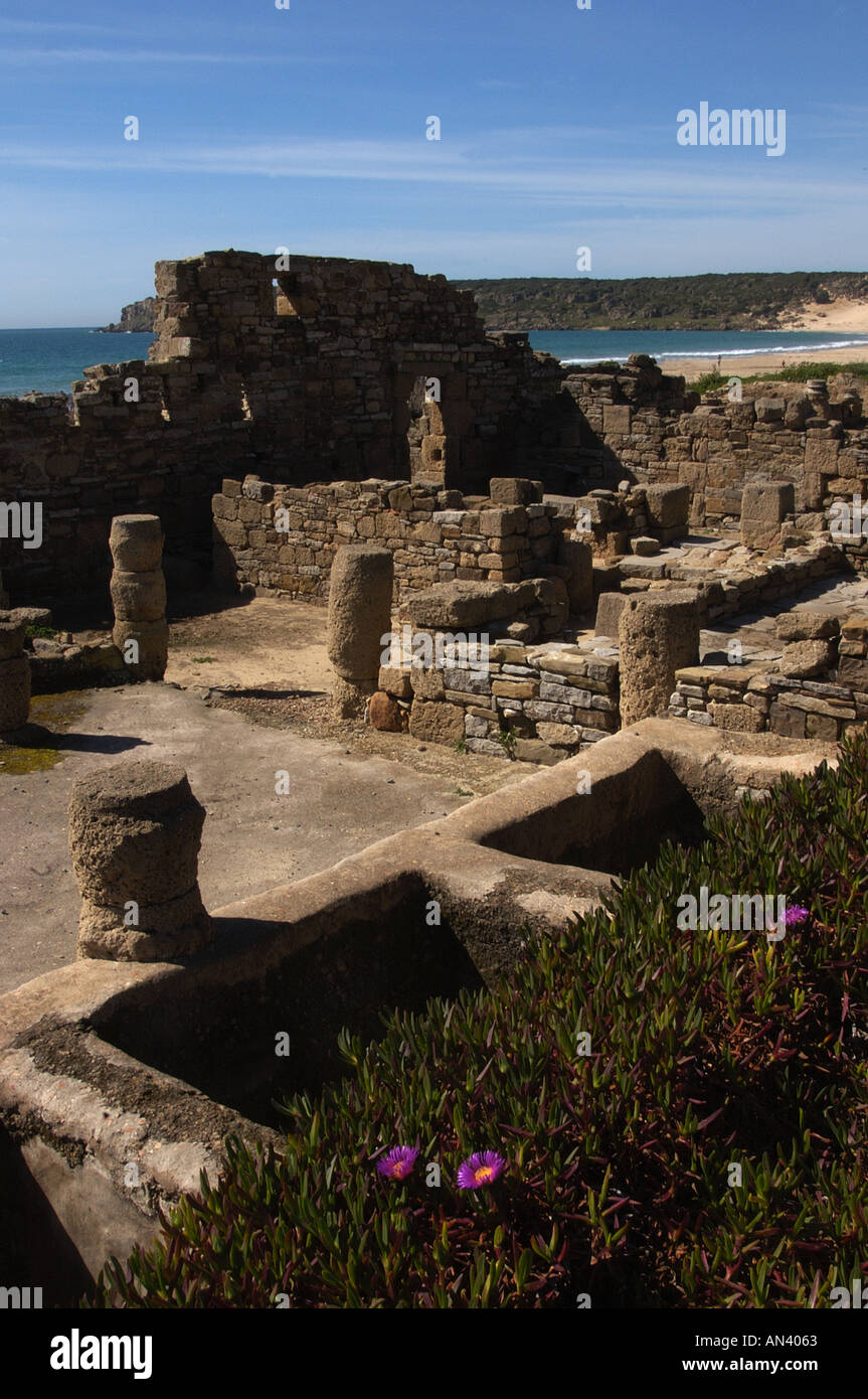 Garum factory hi-res stock photography and images - Alamy