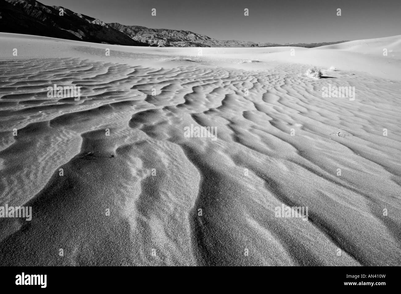Brown sand Black and White Stock Photos & Images - Alamy