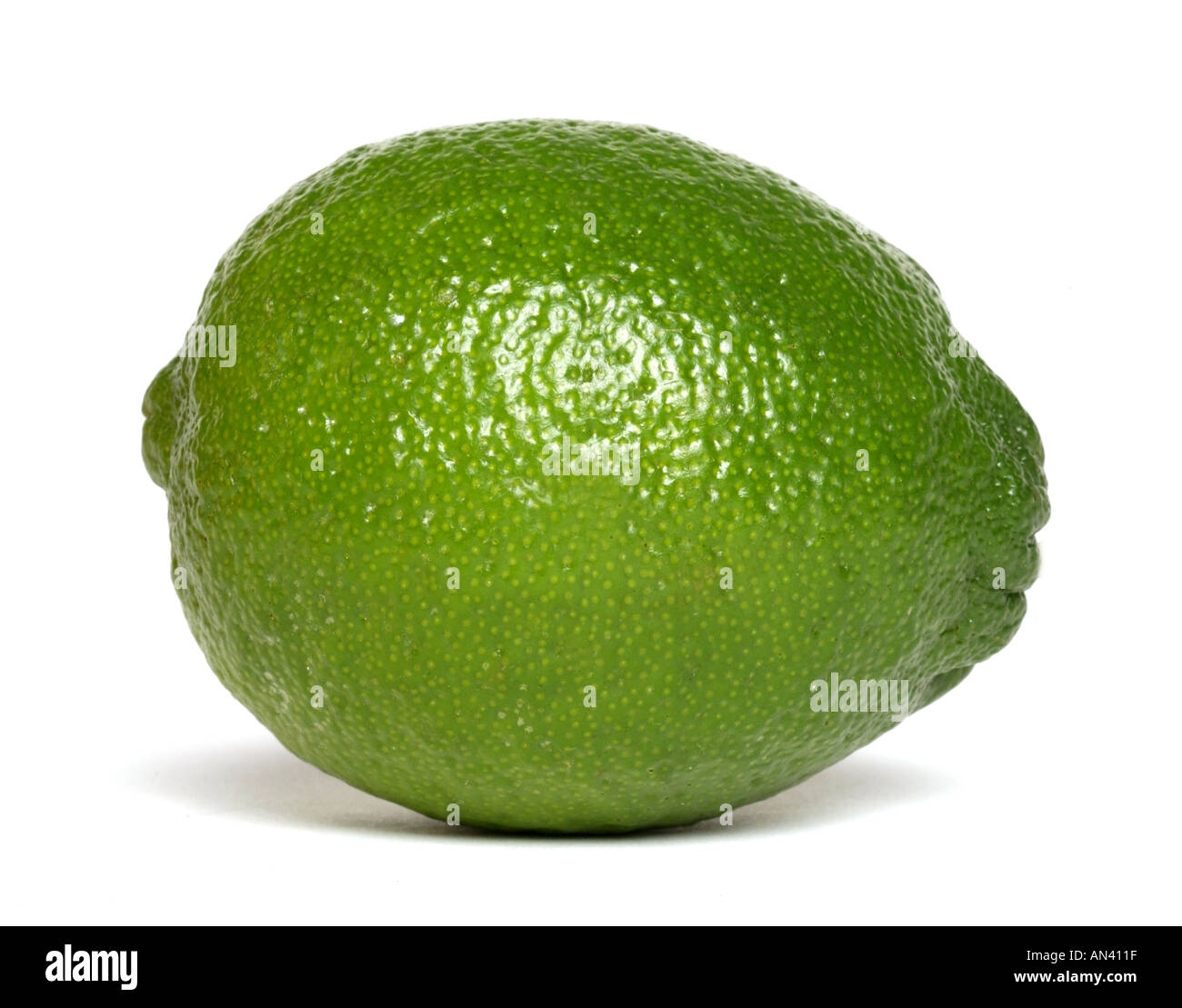 Square color image of a green lime sitting on a plain white background ...