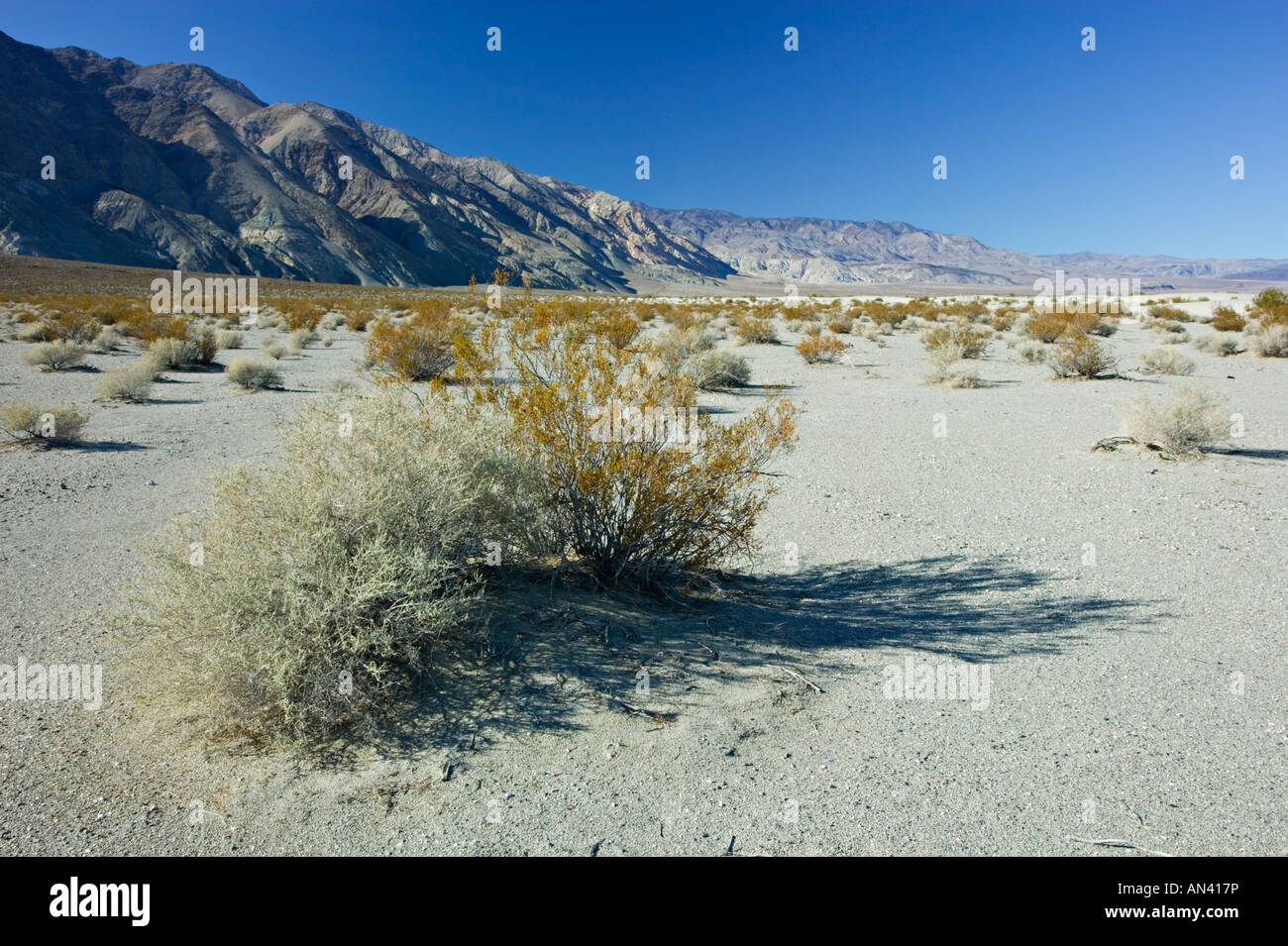 Desert in Death Valley national park Stock Photo - Alamy