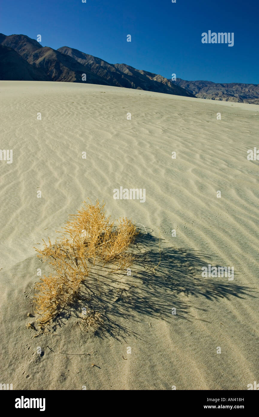 Desert sand in Death Valley national park Stock Photo - Alamy