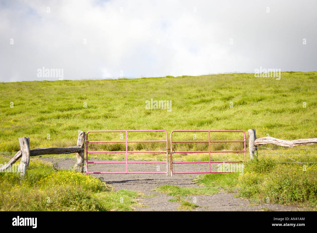 Gate to a green pasture Stock Photo - Alamy