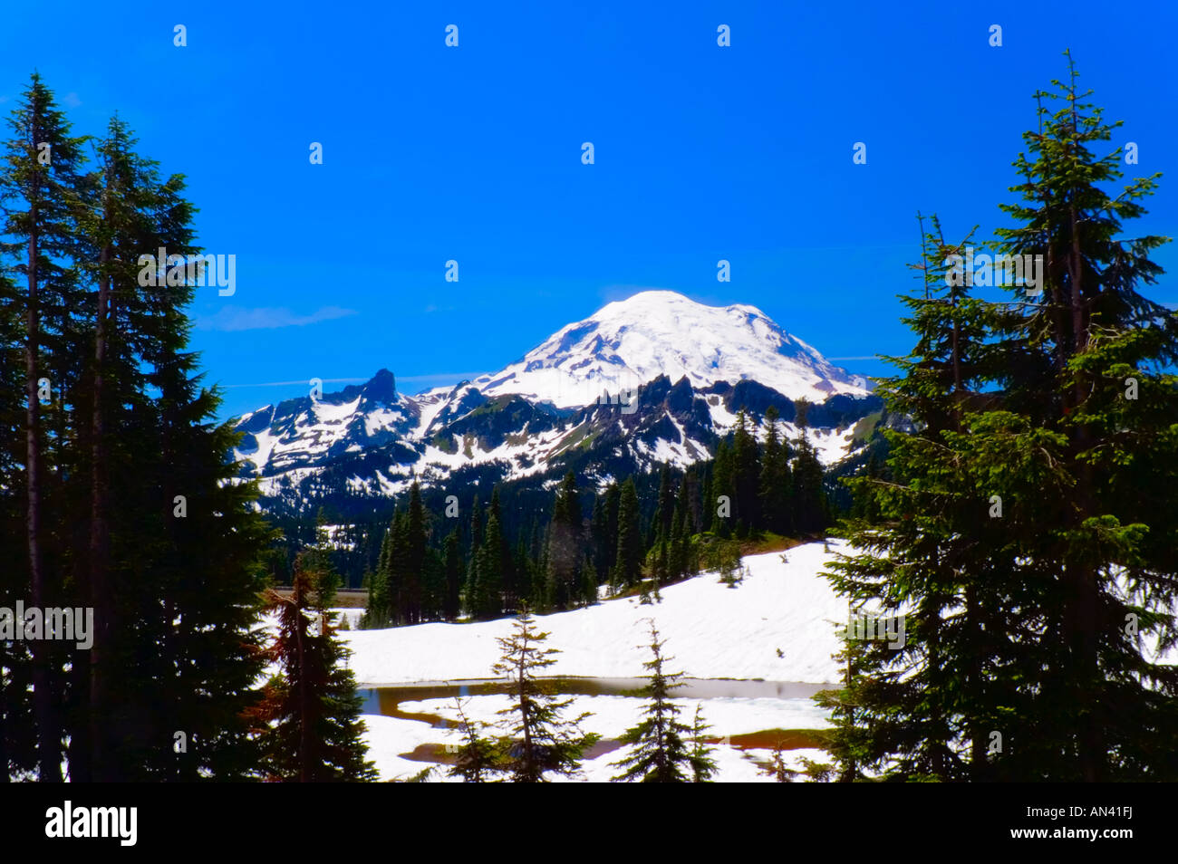 Mount Rainer from Tipsoo Lake Stock Photo - Alamy
