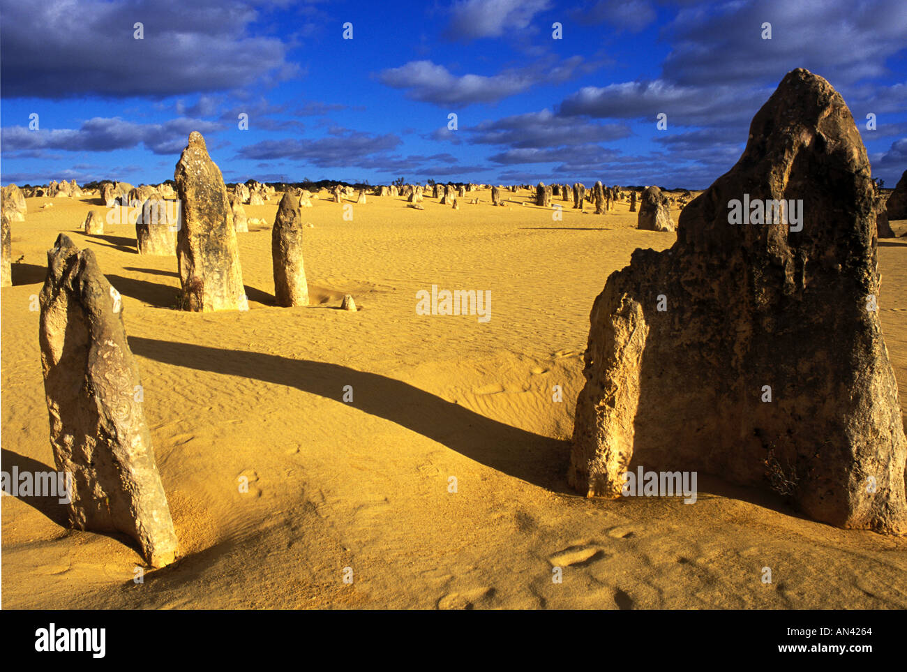 30 000 year old limestone pillars in Pinnacles Desert Nambung National ...
