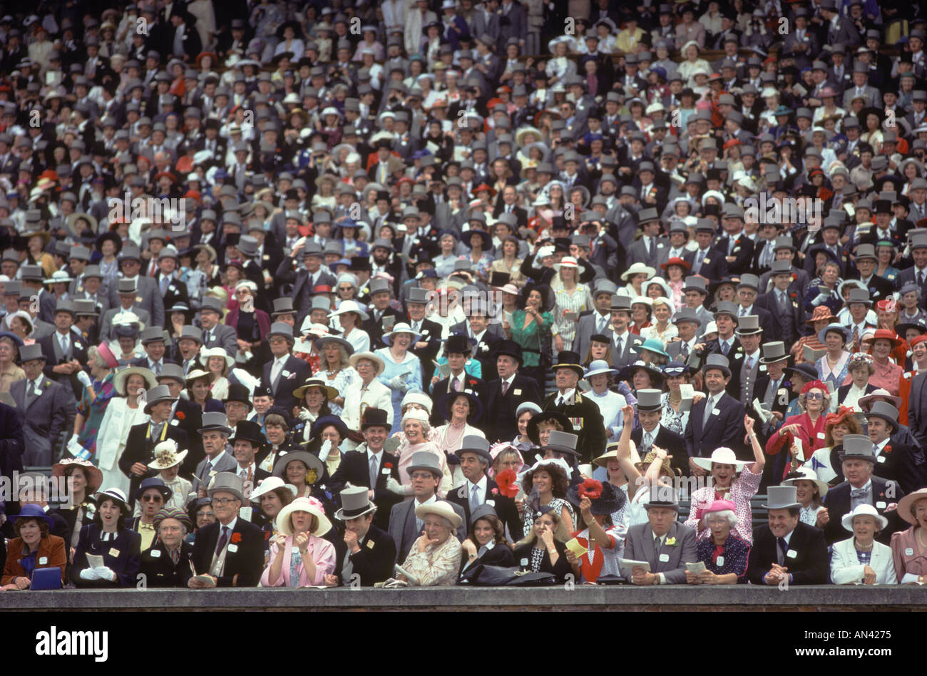 Horse racing spectators cheering hi-res stock photography and images ...