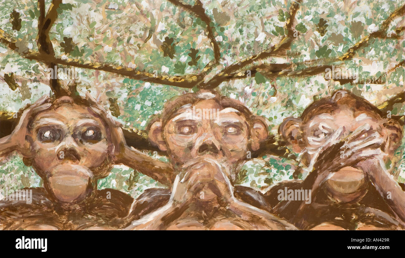 the three wise monkeys apes dramatically looking at us from a forest ...