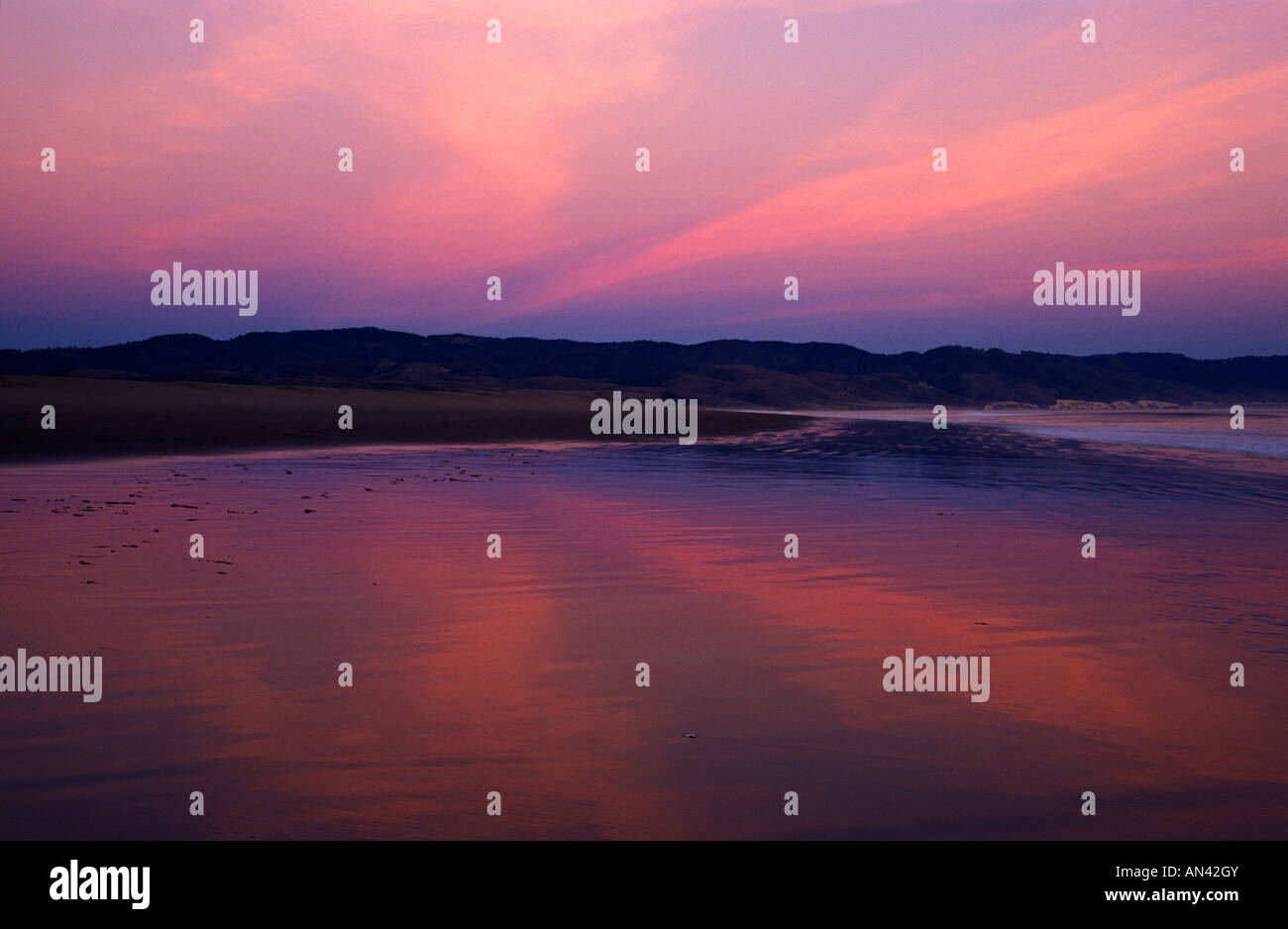 Sunset at Limantour Beach, Point Reyes National Seashore Stock Photo ...