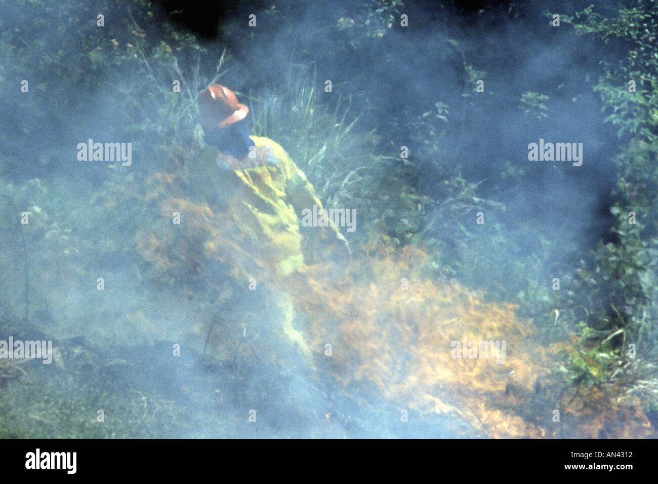Volunteer Rural Fire Service Firefighter at a bushfire, Australia Stock ...