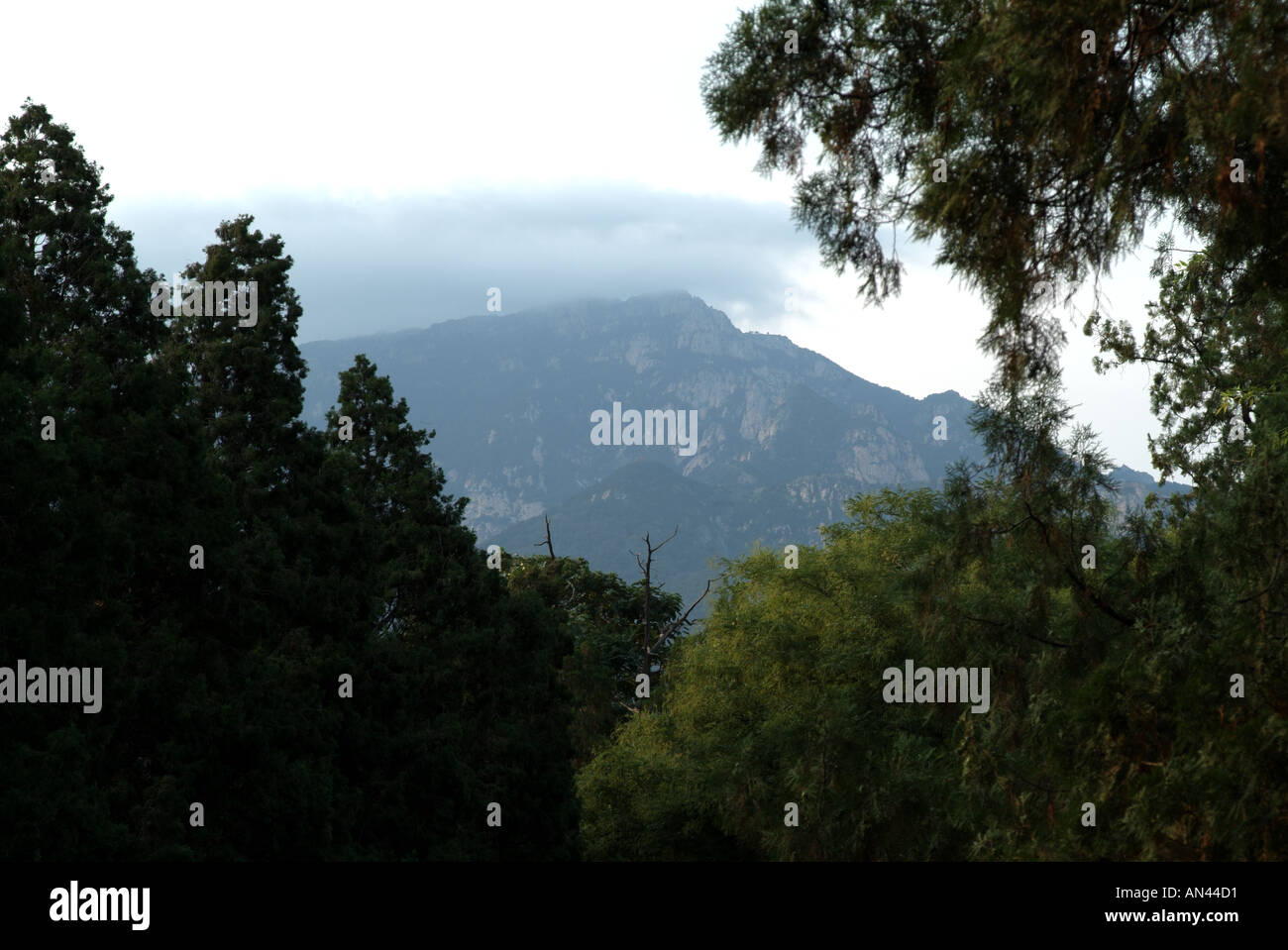 Dai temple in china taishan hi-res stock photography and images - Alamy