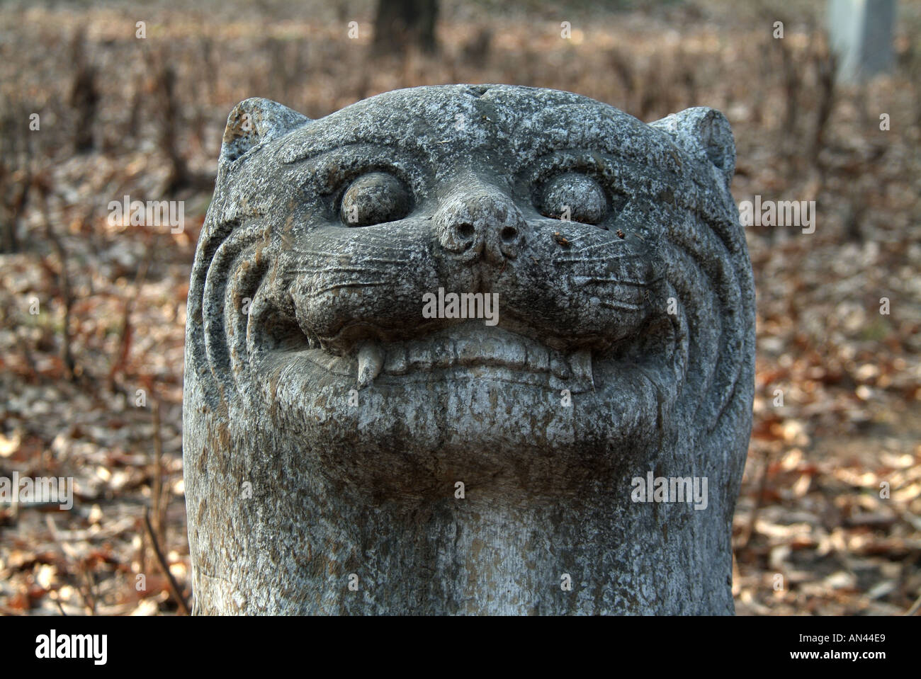 World cultural heritage The stone beast in confucius forest Stock Photo ...