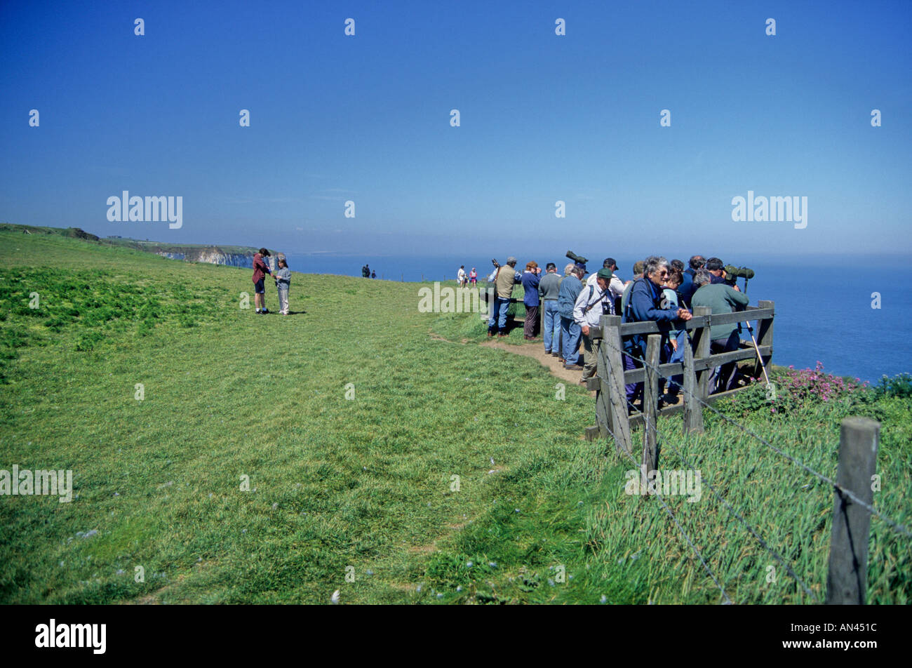 Visitors, Birdwatchers at RSPB Bempton Cliffs watching platforms ...