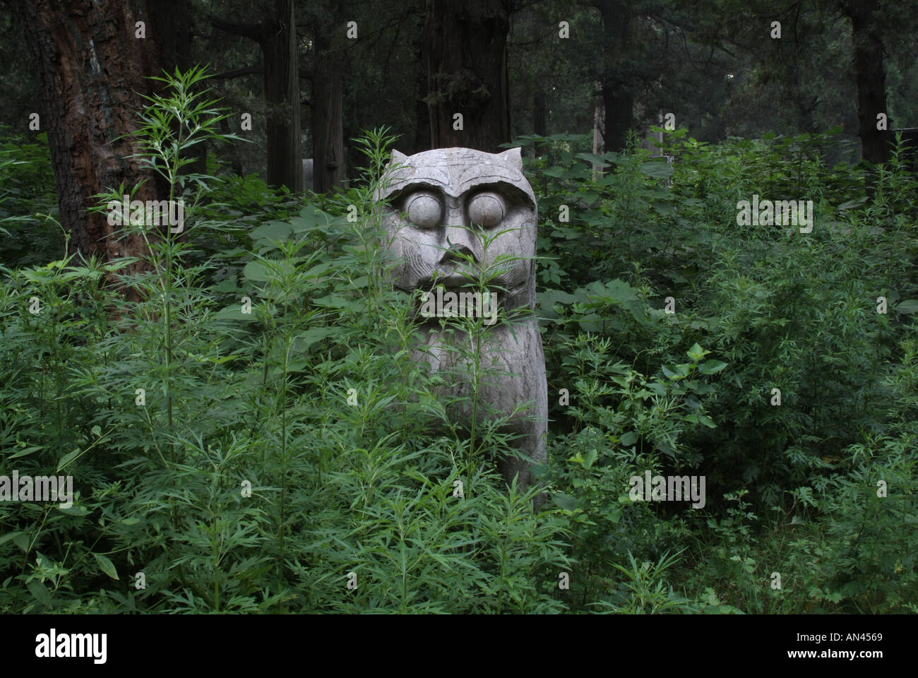 World cultural heritage The stone beast in Confucius Forest Stock Photo ...