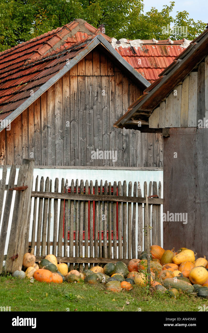 Withy fence hi-res stock photography and images - Alamy
