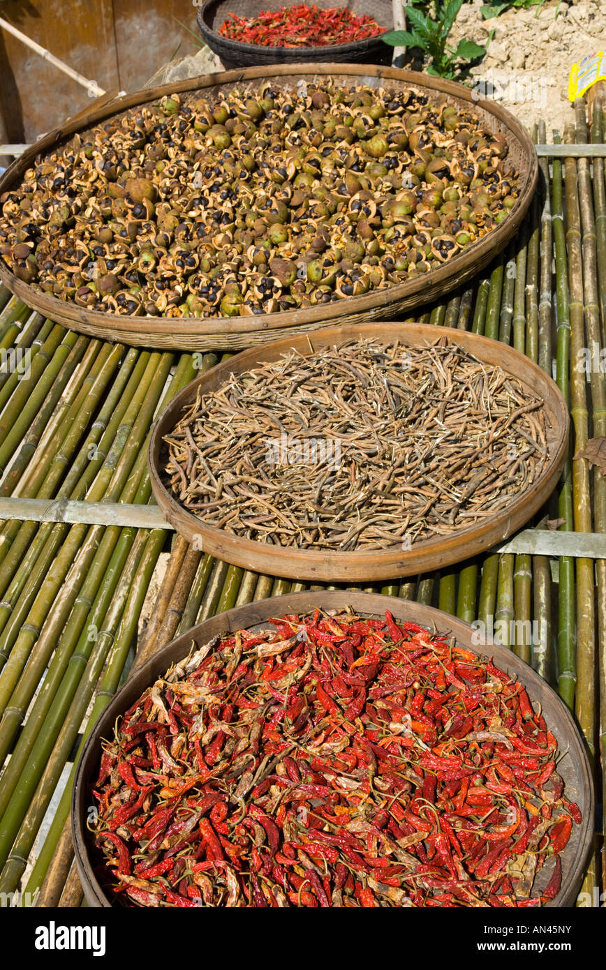 China Guangxi Ping an village Dragon Backbone Rice Terraces red piment ...