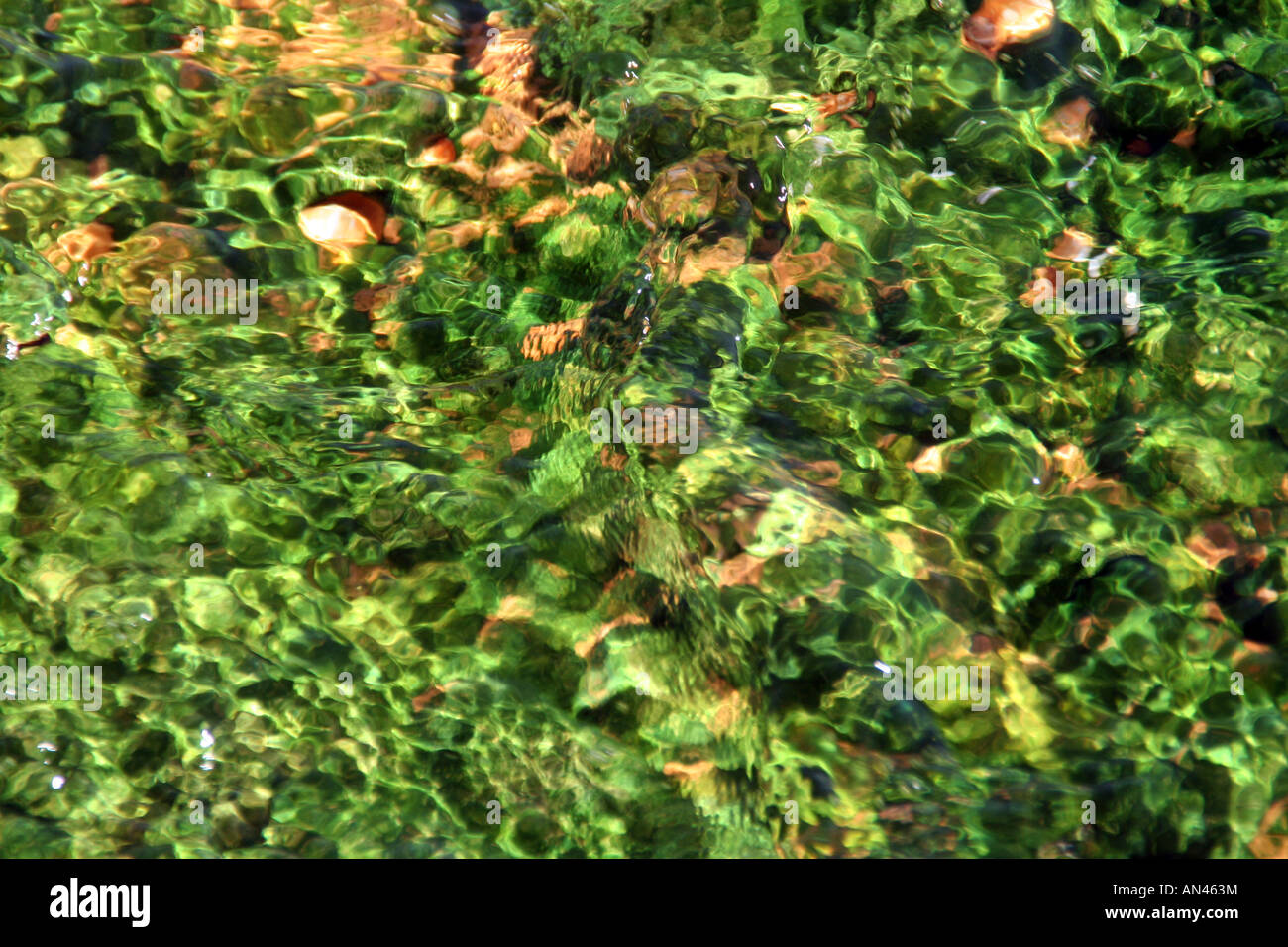 Runoff channel near Whirligig Geyser, Porcelain Basin, Norris Geyser ...
