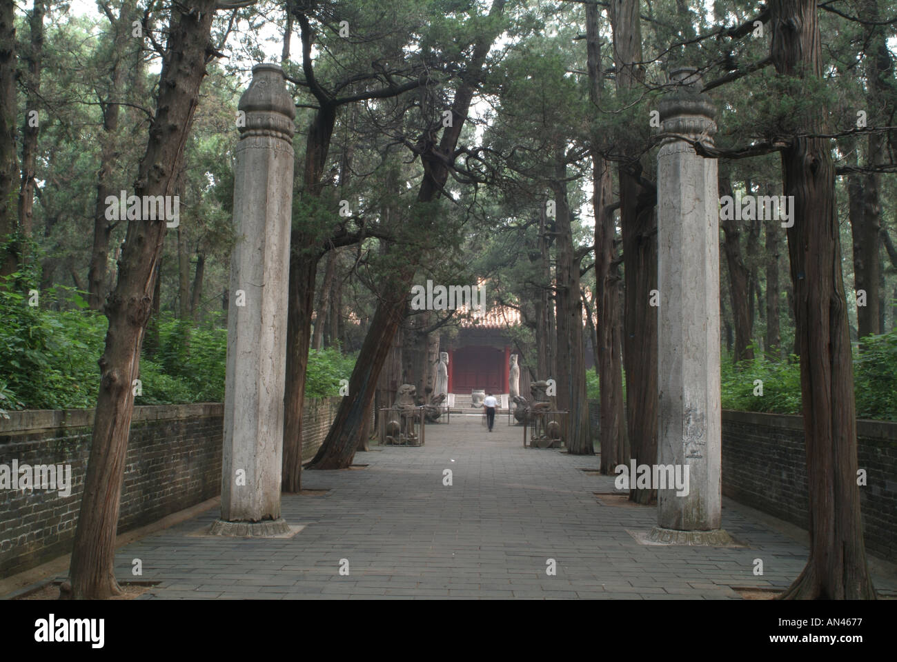 World cultural heritage The holy road in Confucius Forest Stock Photo ...