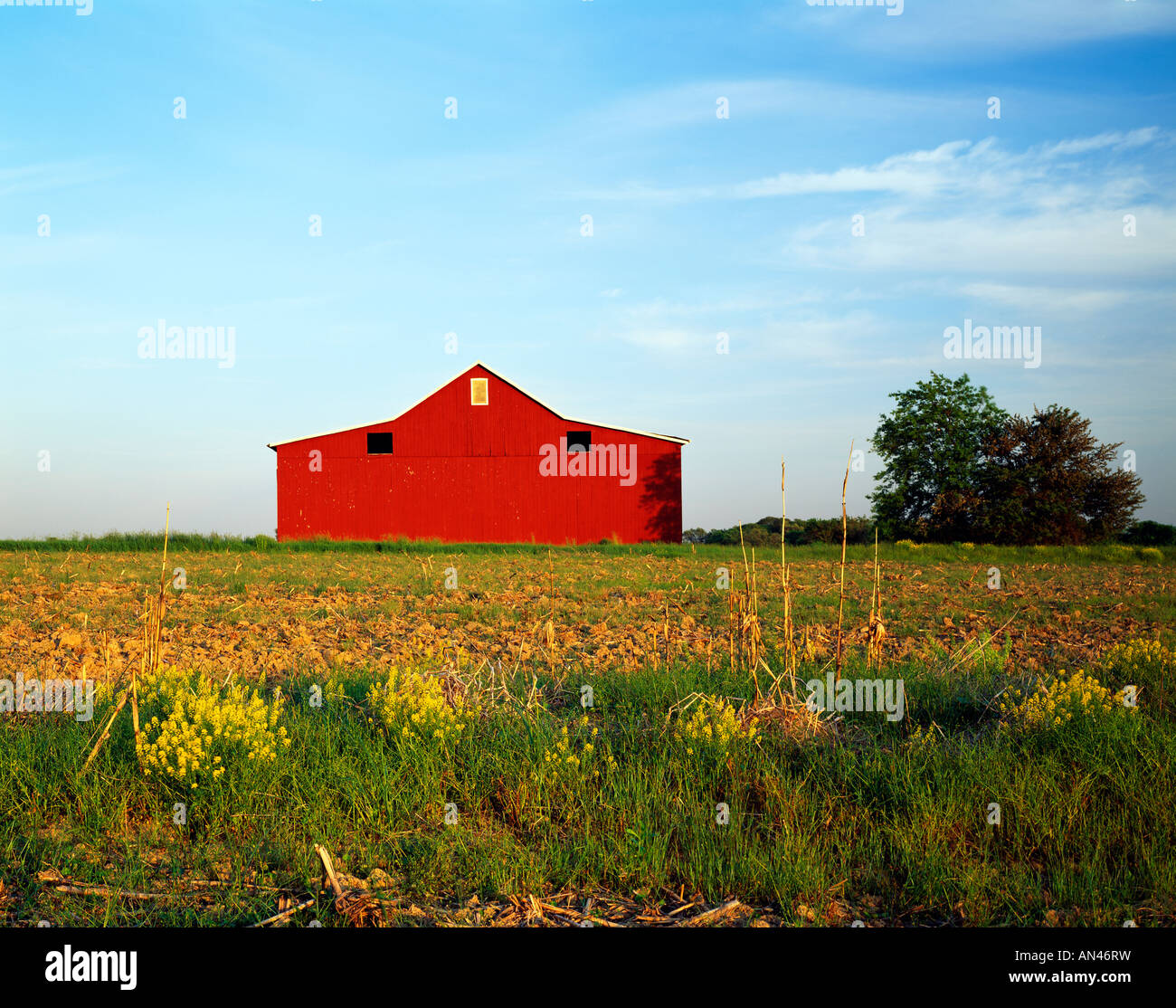 Kohler farm hi-res stock photography and images - Alamy