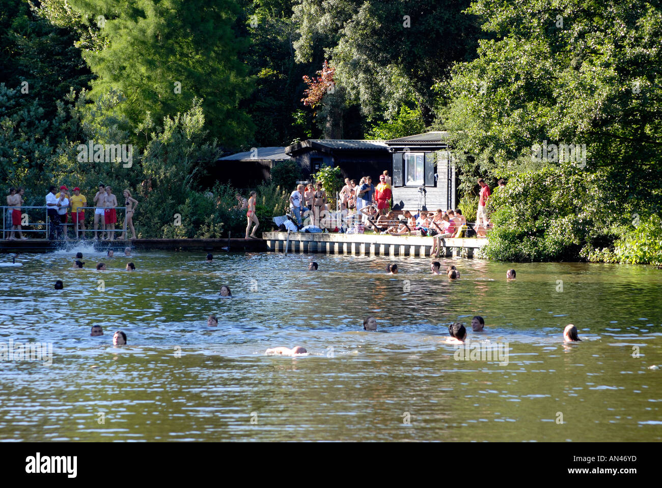 Swimmers at the Mixed Bathing Pond on Hampstead Heath London Stock Photo: 8803644 - Alamy