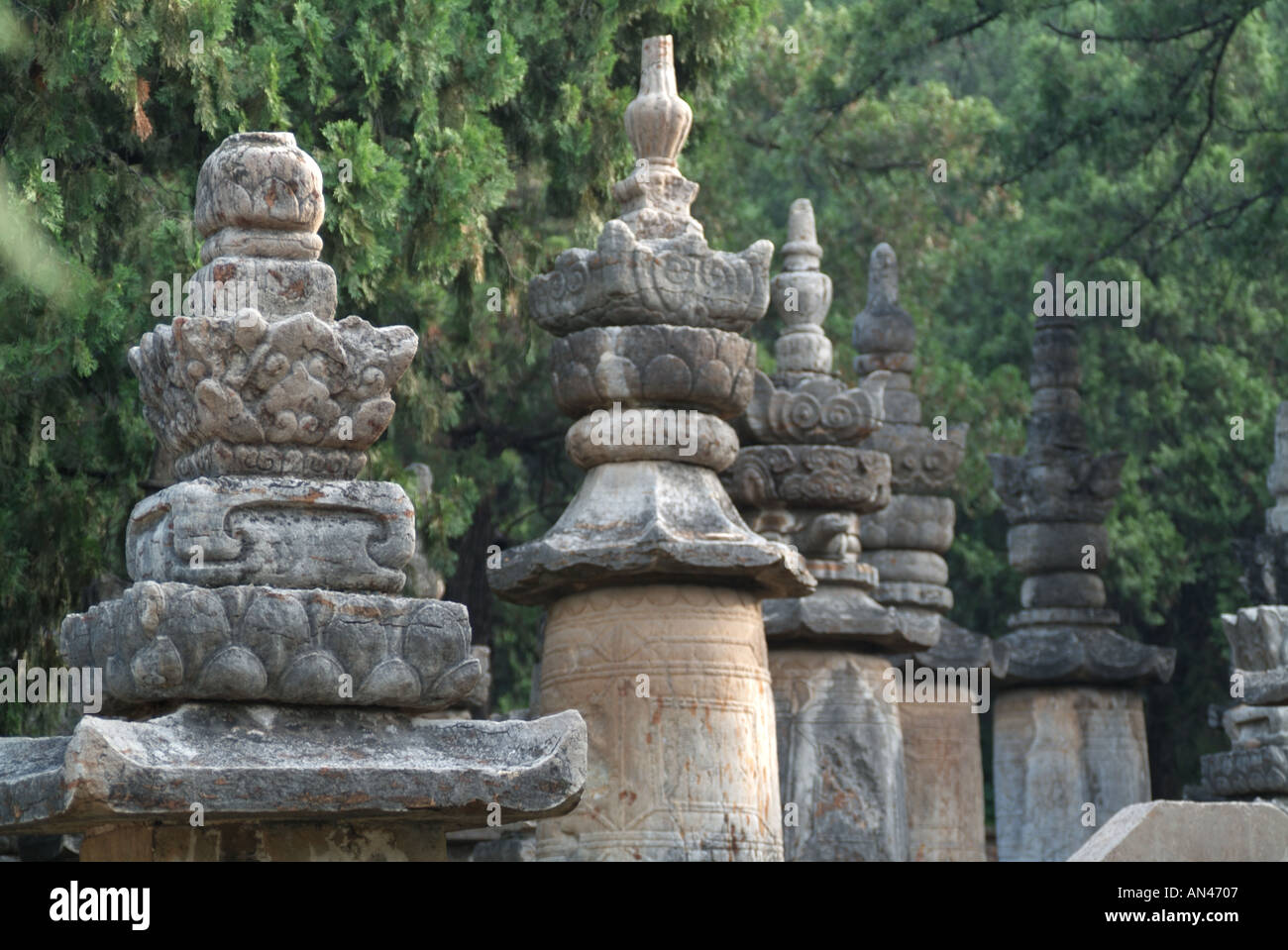 The buddhist temple forest named Ling Yan Temple in China Stock Photo ...