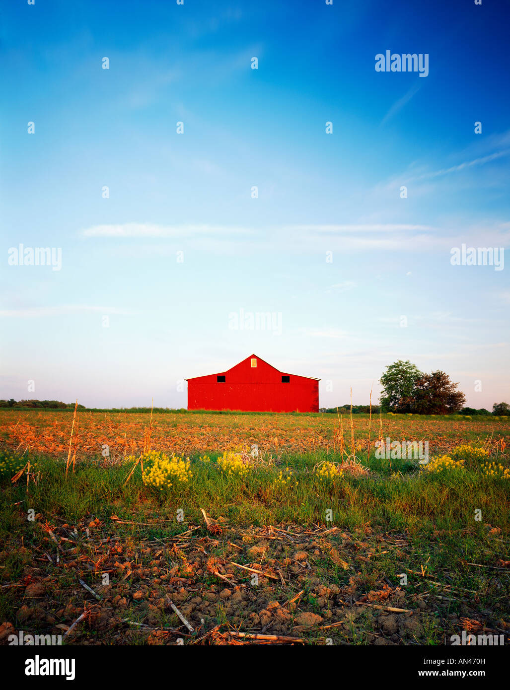 Kohler farm hi-res stock photography and images - Alamy