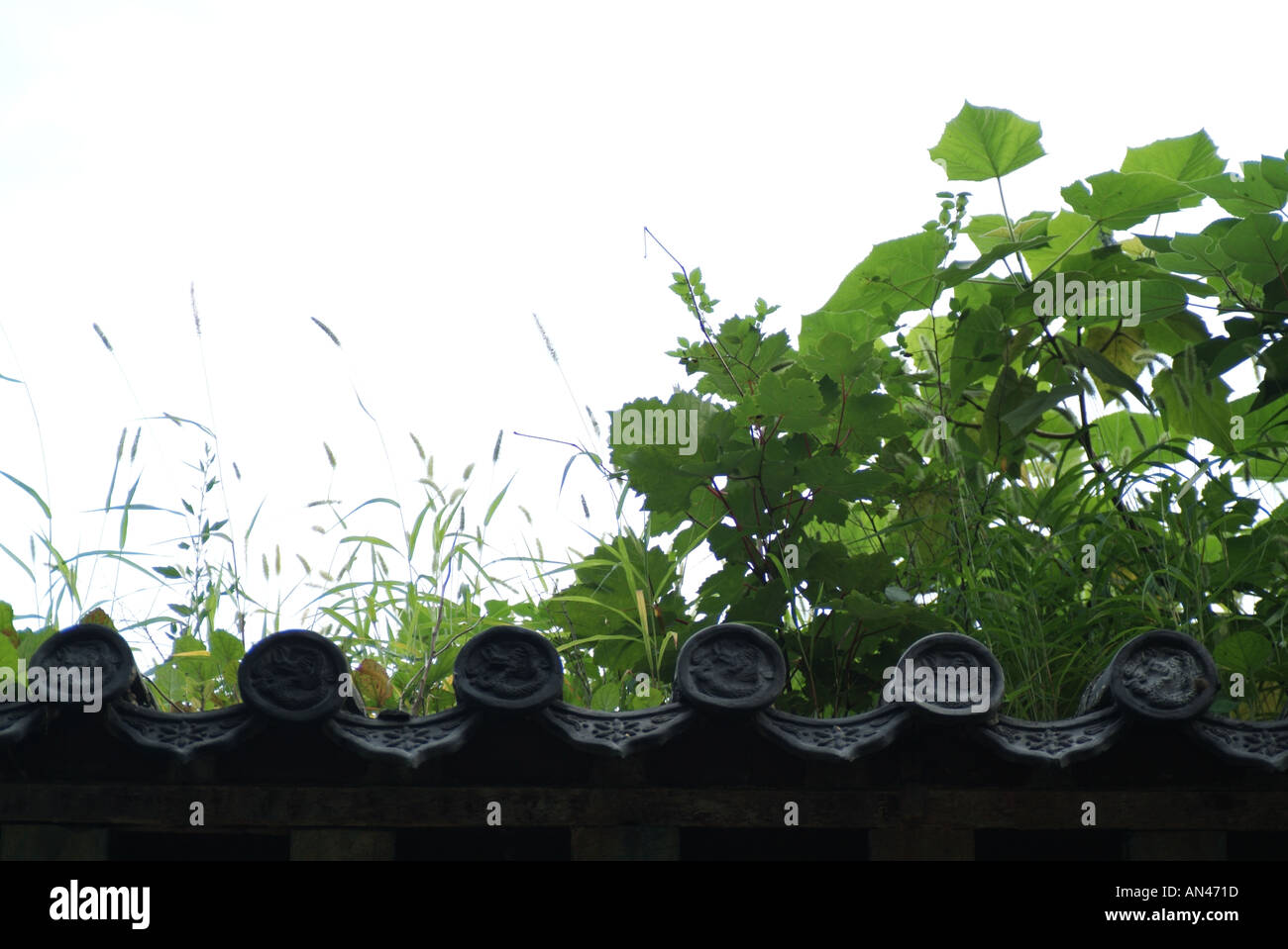 Ling yan temple hi-res stock photography and images - Alamy