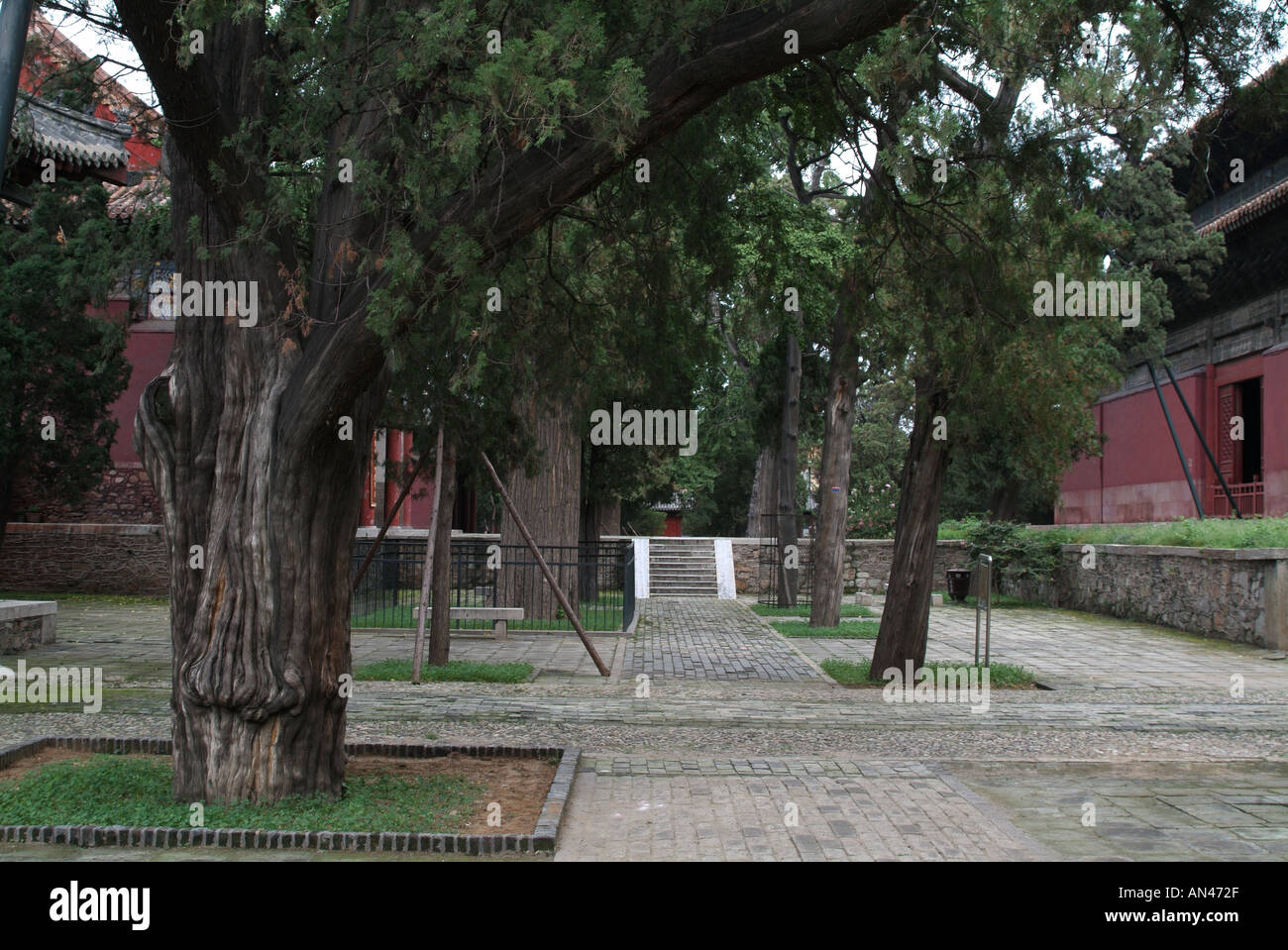 Dai temple in china taishan hi-res stock photography and images - Alamy