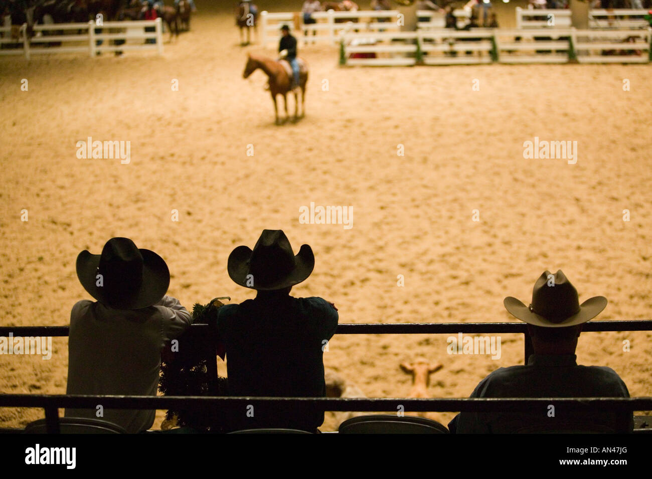 USA, TEXAS, Fort Worth: Cowboys at Indoor Rodeo (NR) Will Rogers ...