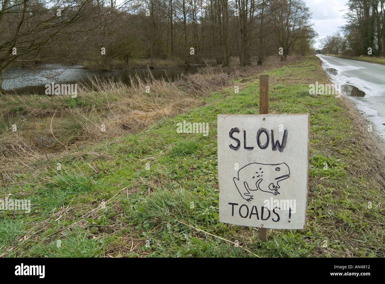 caution toads crossing Stock Photo - Alamy