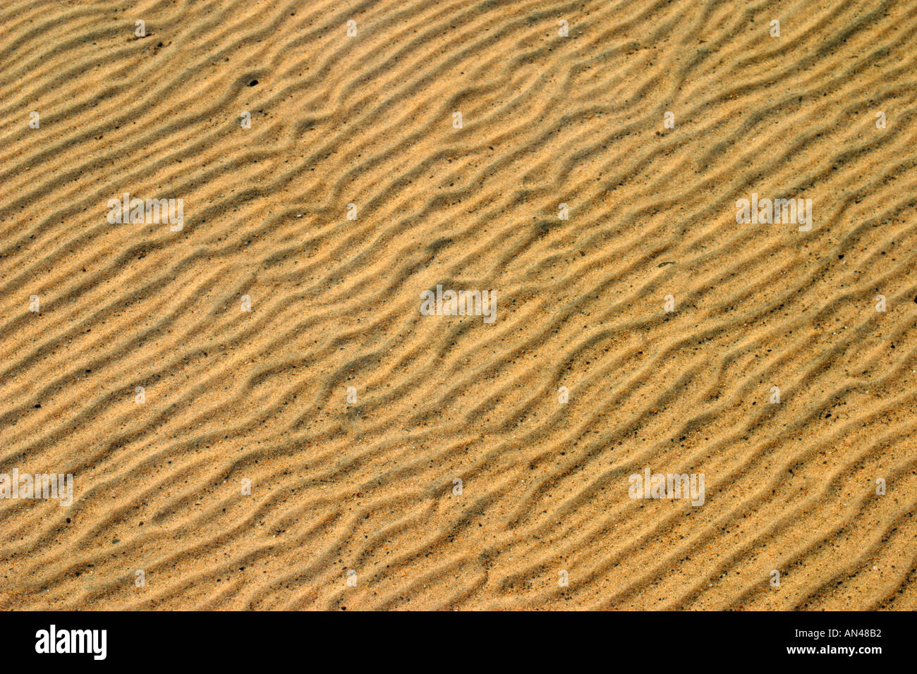 Multiple Watermark High Resolution Stock Photography and Images - Alamy
