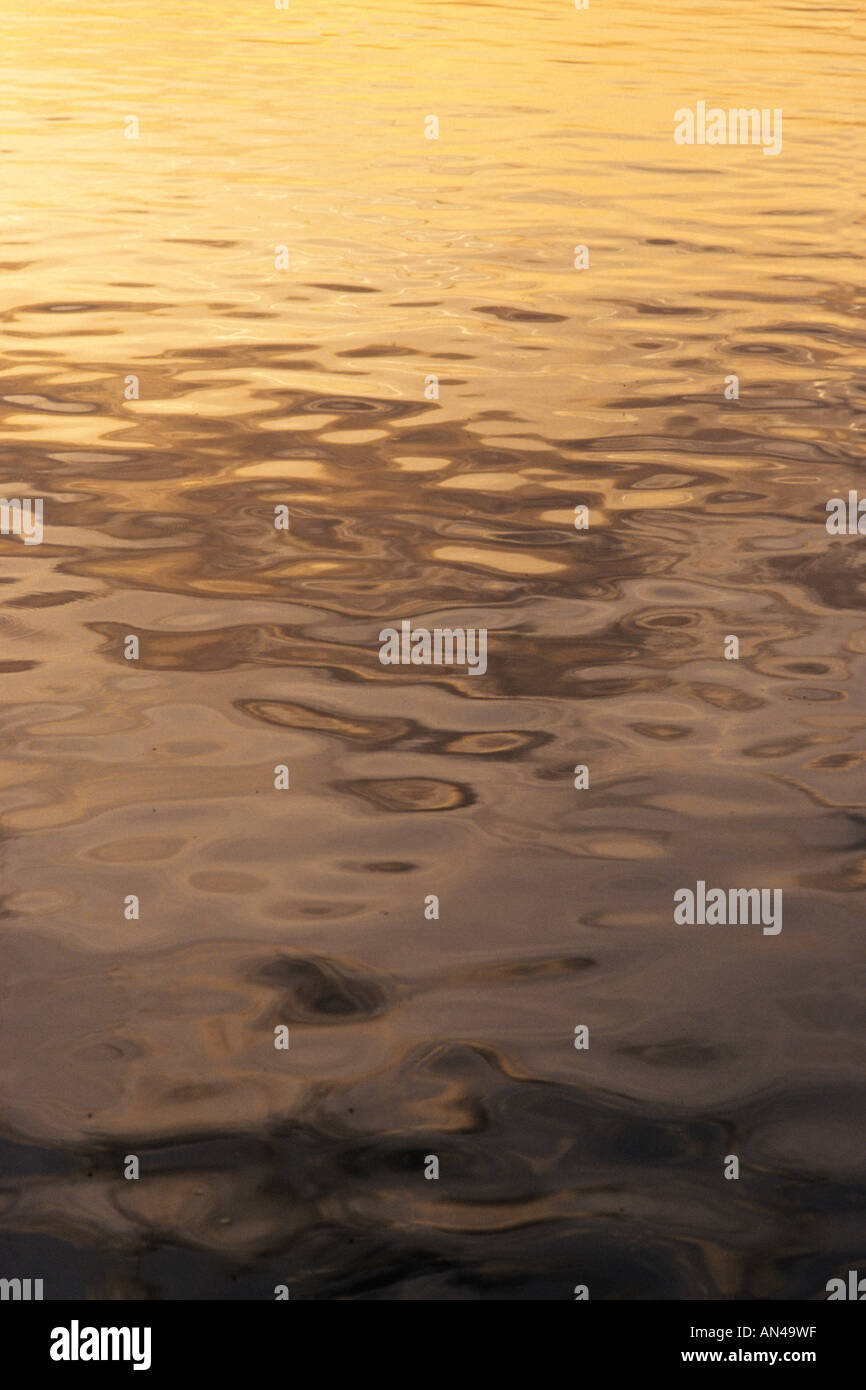 Reflections in the water Stock Photo - Alamy