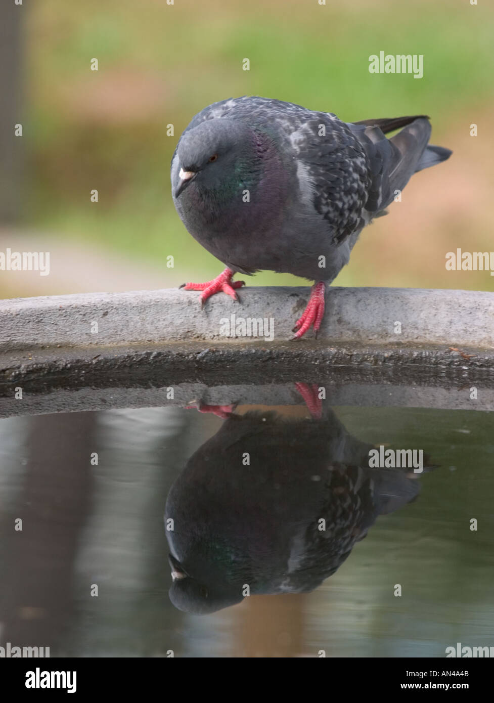 Mirror_image hi-res stock photography and images - Alamy